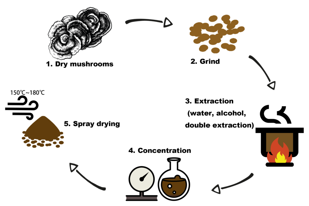 Wholesale Medicinal Mushroom Extracts | Coming Herb